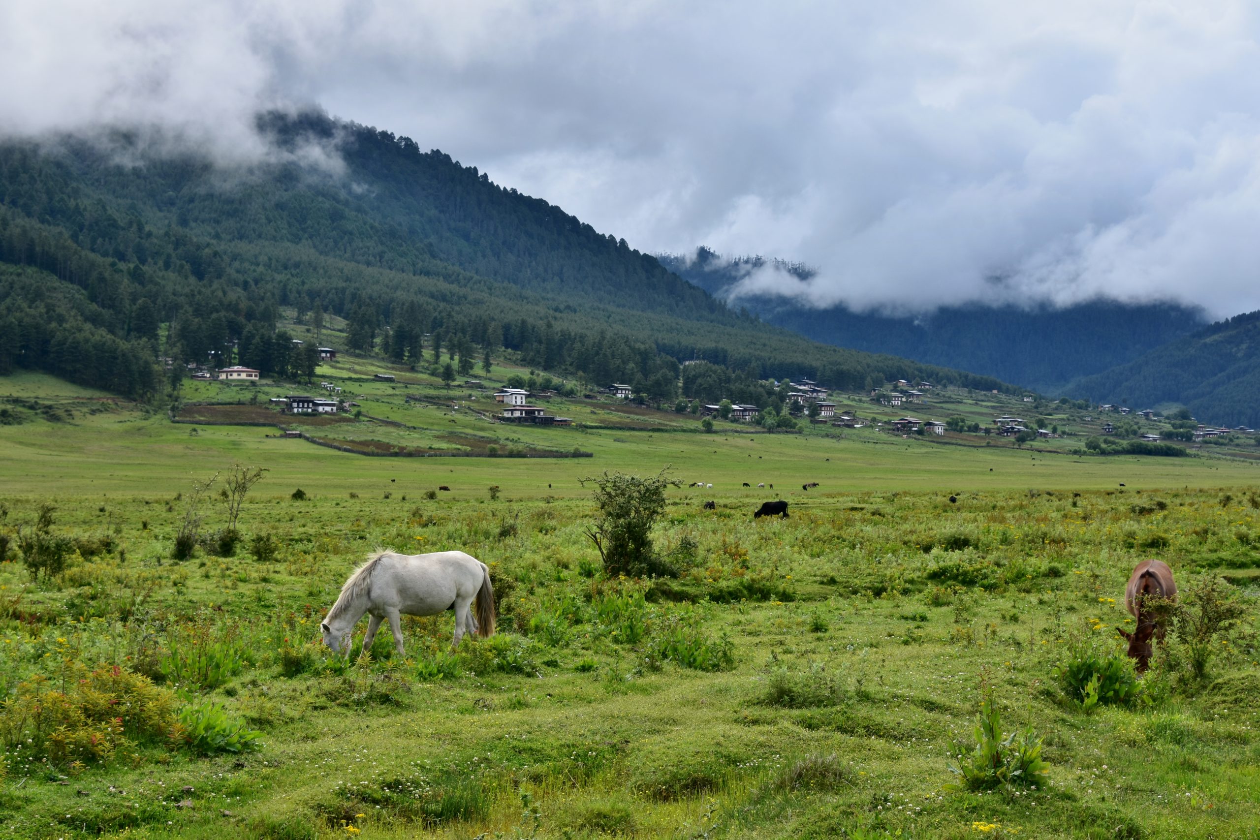 Phobjikha-Valley ~ Travelphant Travel Blog